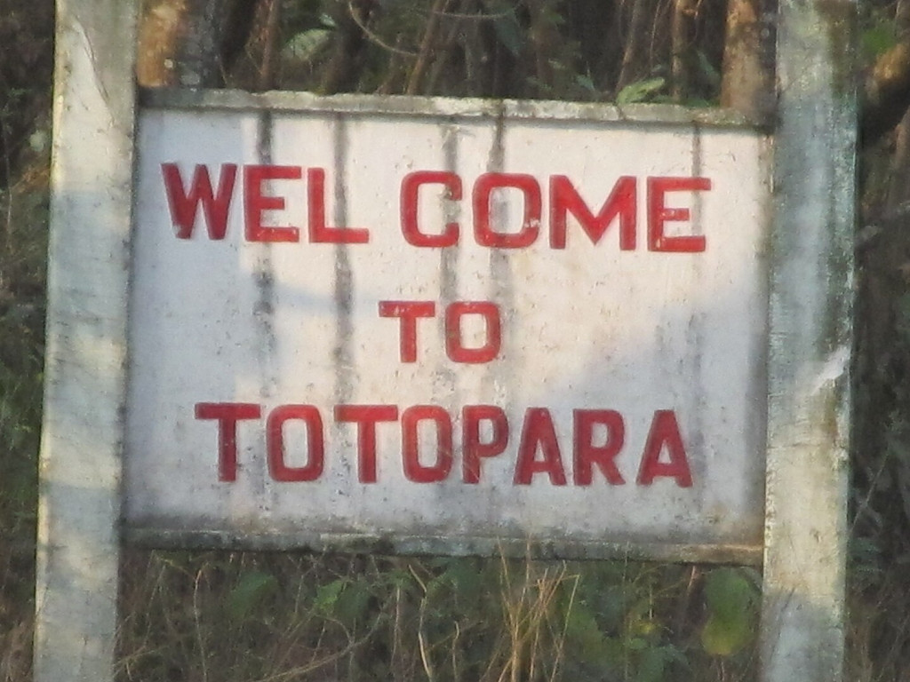 The Toto Tribe
