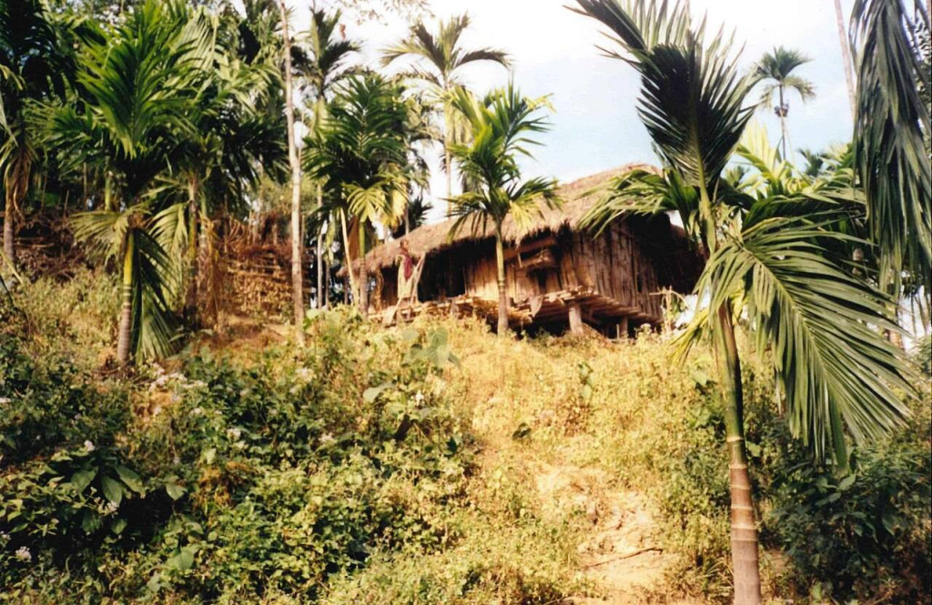 The Toto Tribe