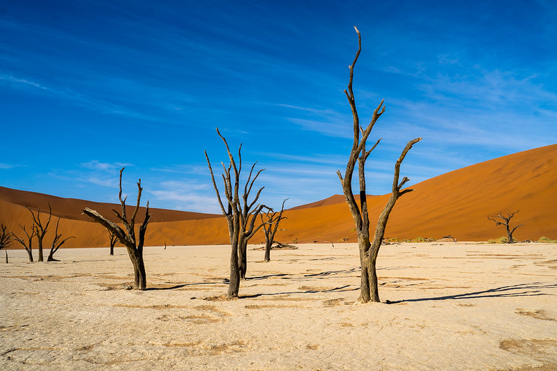15 of the Most Unique Natural Phenomena on Earth
