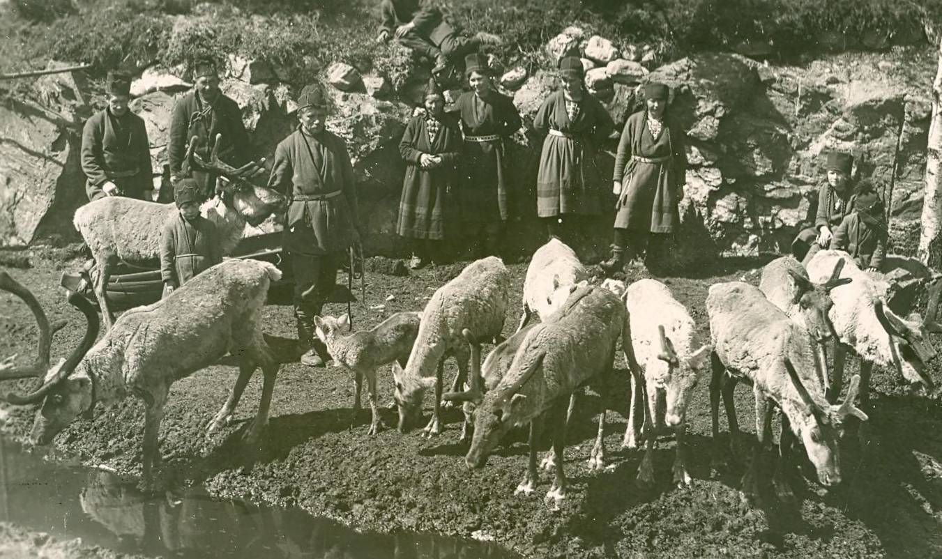 The Traditional Lifestyle of the Sámi Peoples of Europe