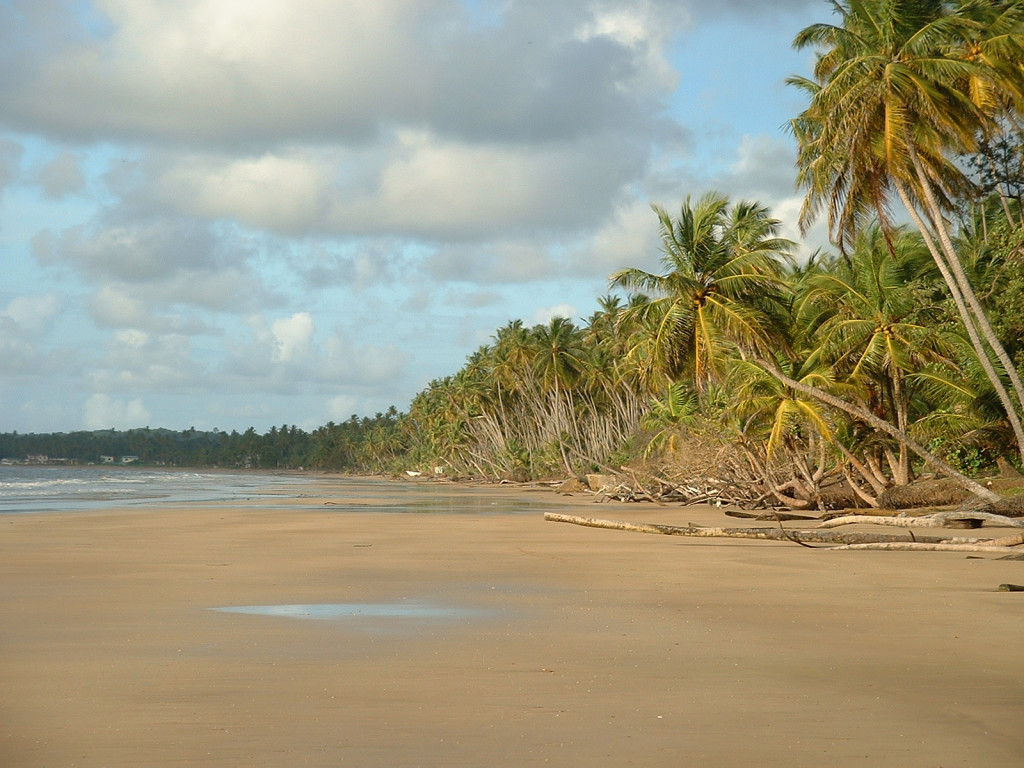 The Kalinago People