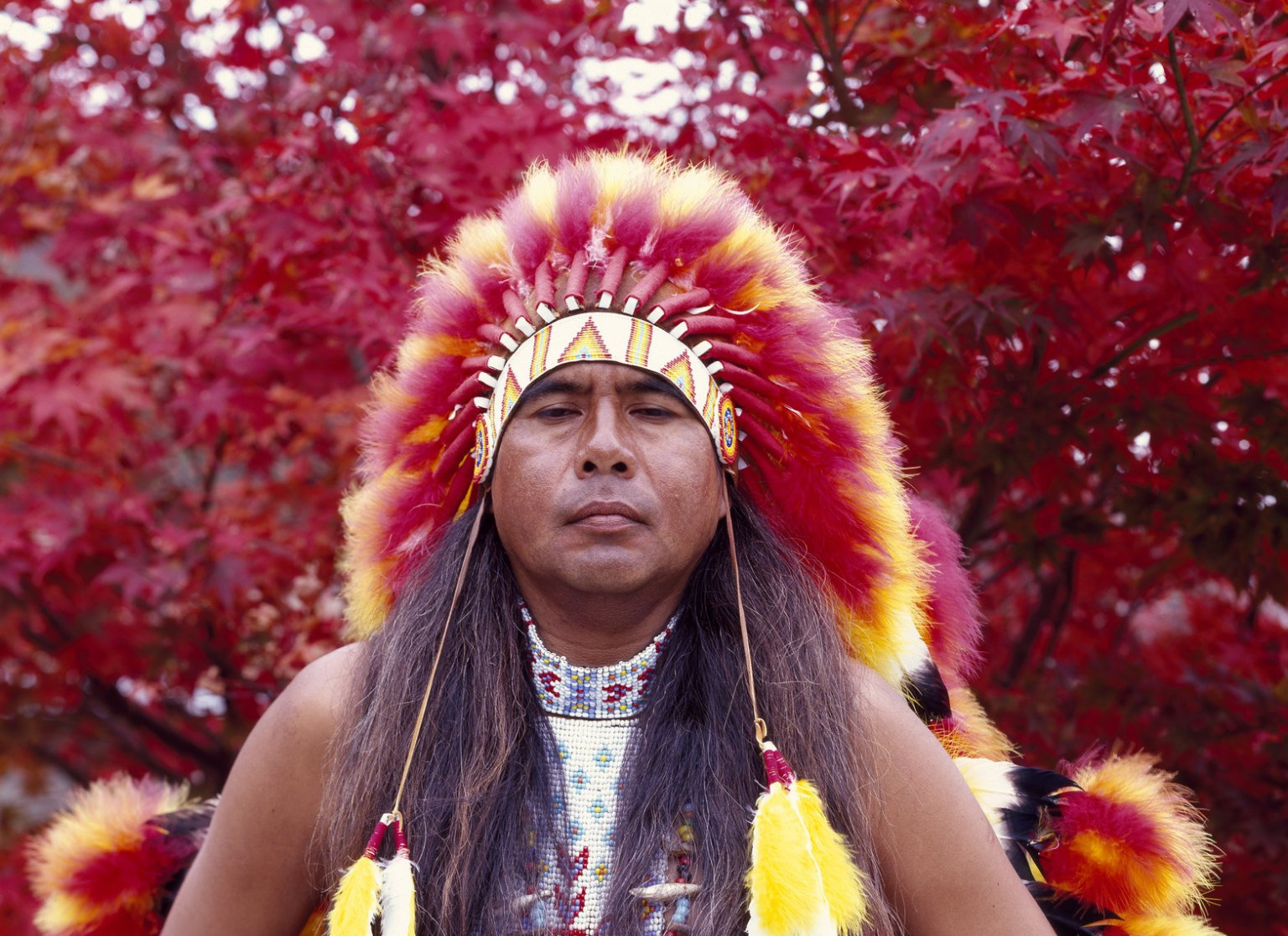 The History of Cherokee Nation