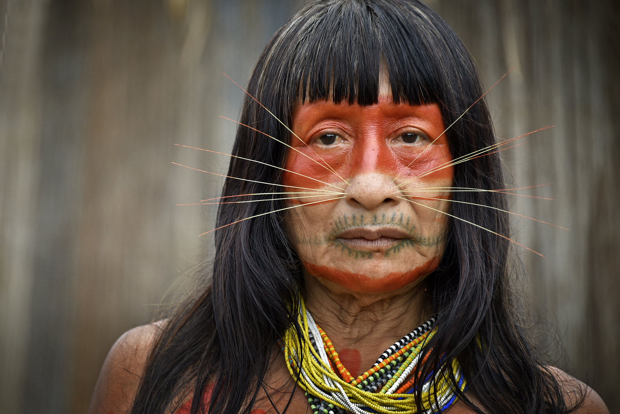 Discovering the World’s Most Isolated Tribes