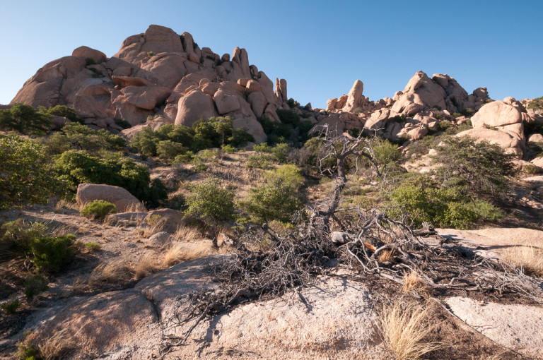Incredible Images Of The Most Feared Tribe In U.S. History
