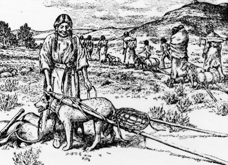 Historical Photos Of The Comanche Nation, America’s Deadliest Tribe