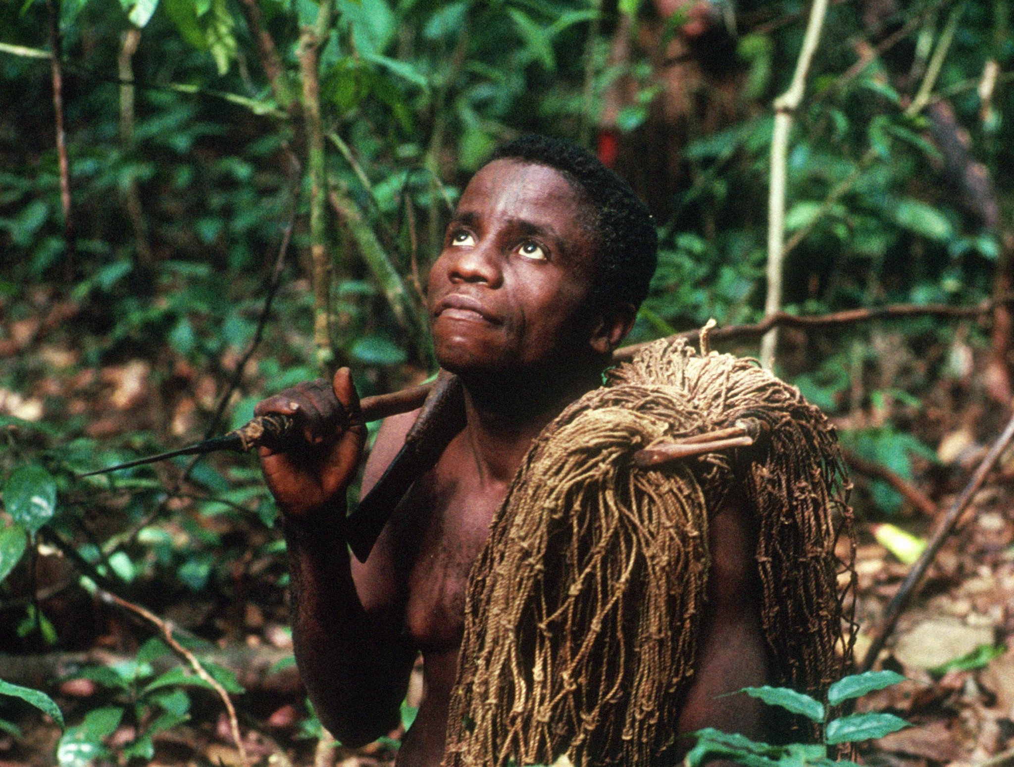 Photos Of Africa's Mysterious Rainforest Tribe