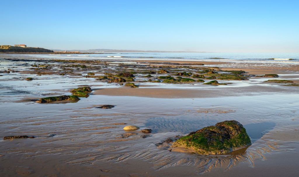 The Bizarre History of Doggerland