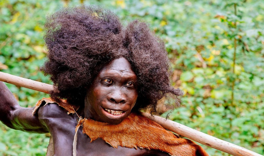 The Unlikely Rise Of Homo Sapiens: A Journey Through Time