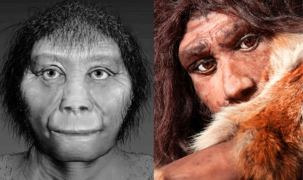 The Unlikely Rise Of Homo Sapiens: A Journey Through Time