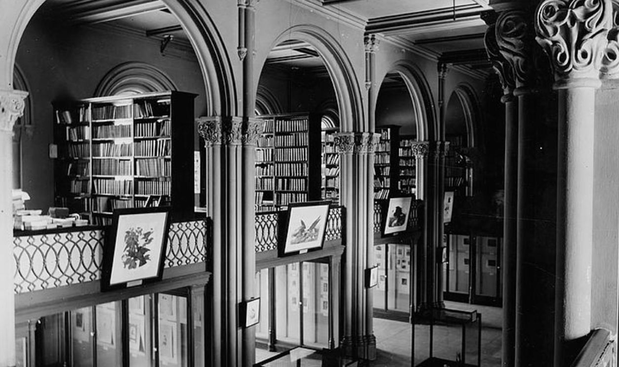 20 Different Ways The Smithsonian Collection Surprises History Lovers ...