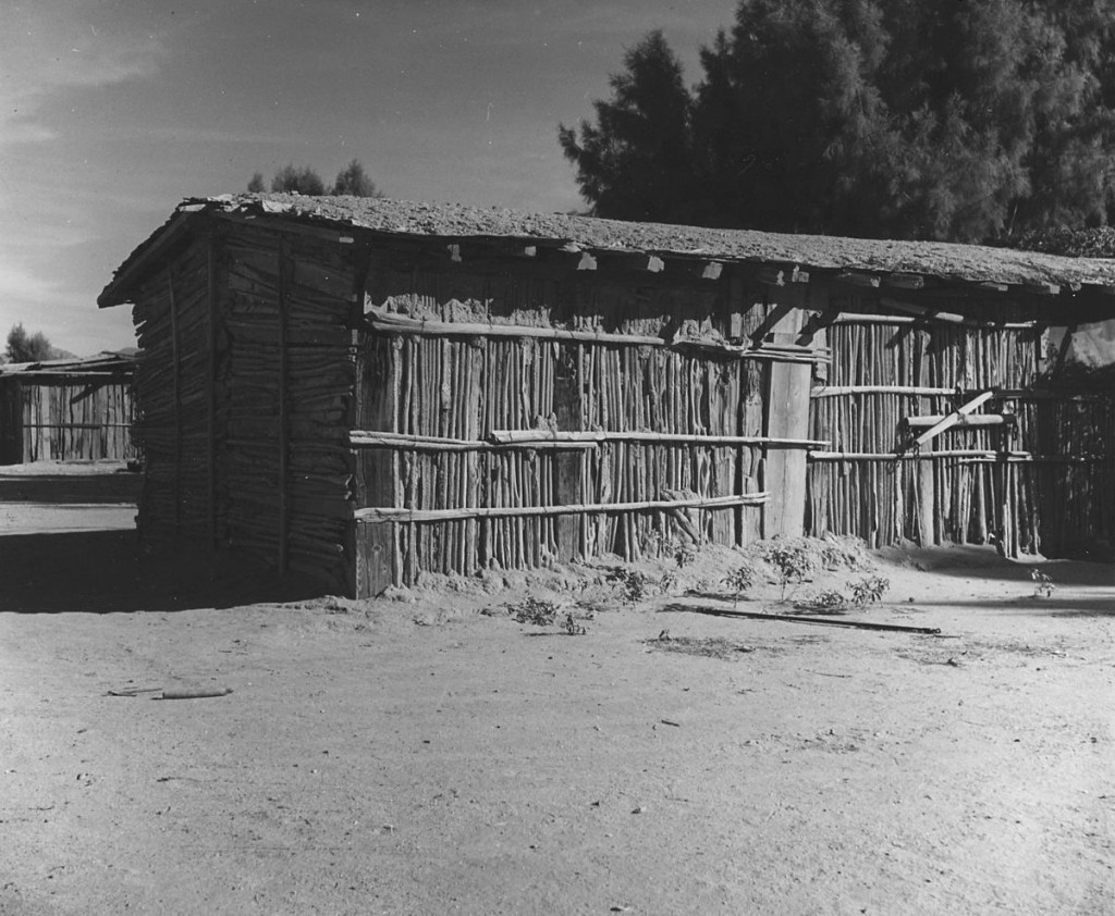 The Only Native American Tribe That Never Surrendered