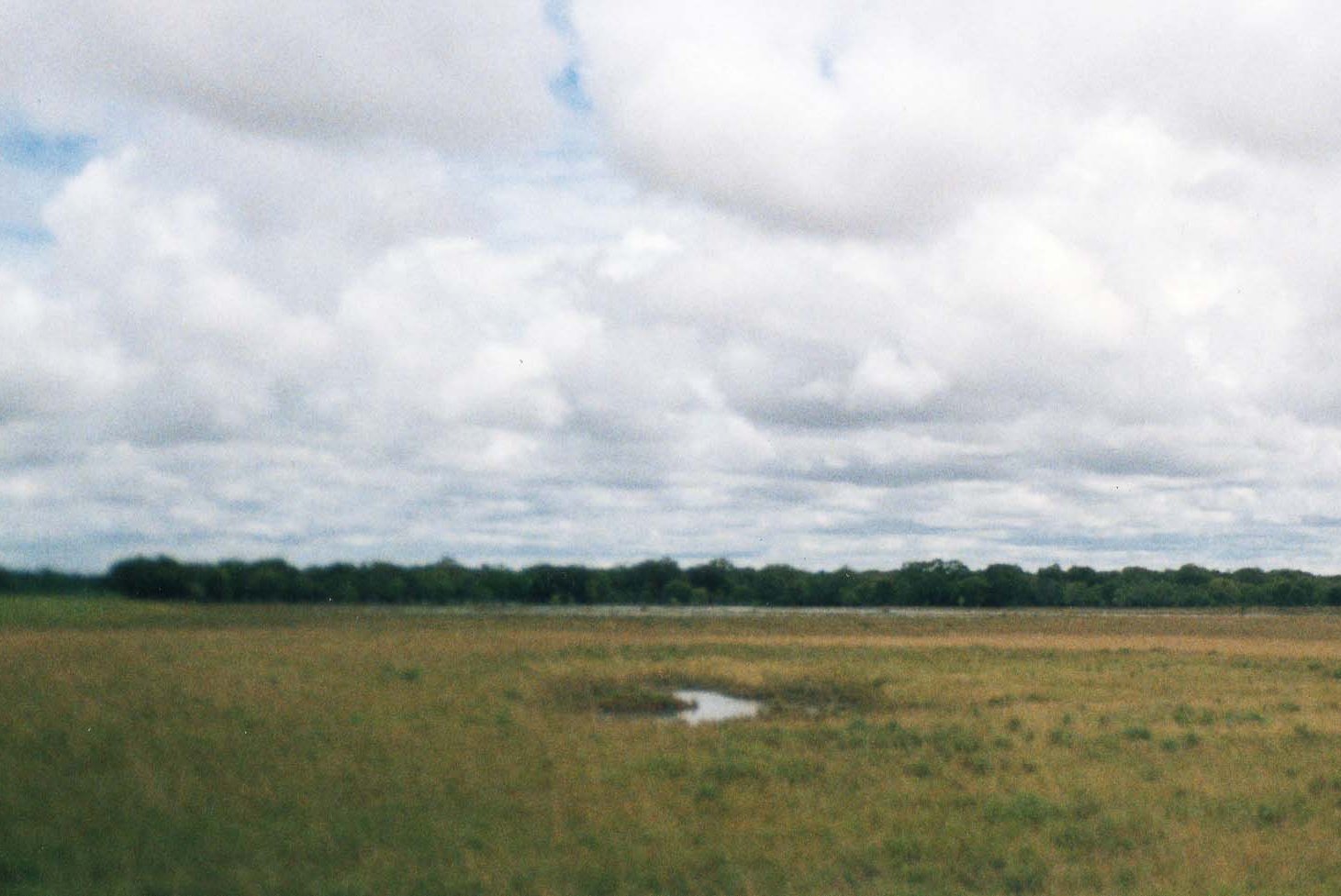 The Truth Behind The Legend Of El Dorado