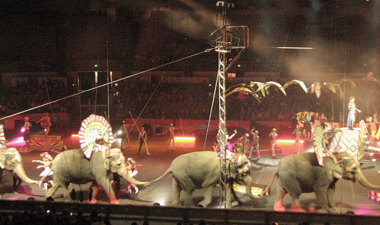 Ringling Bros. And Barnum & Bailey Circus Puts Up The Greatest Shows On ...