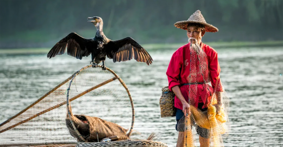 Photos Of The River Hunters Who Fish Using Trained Birds