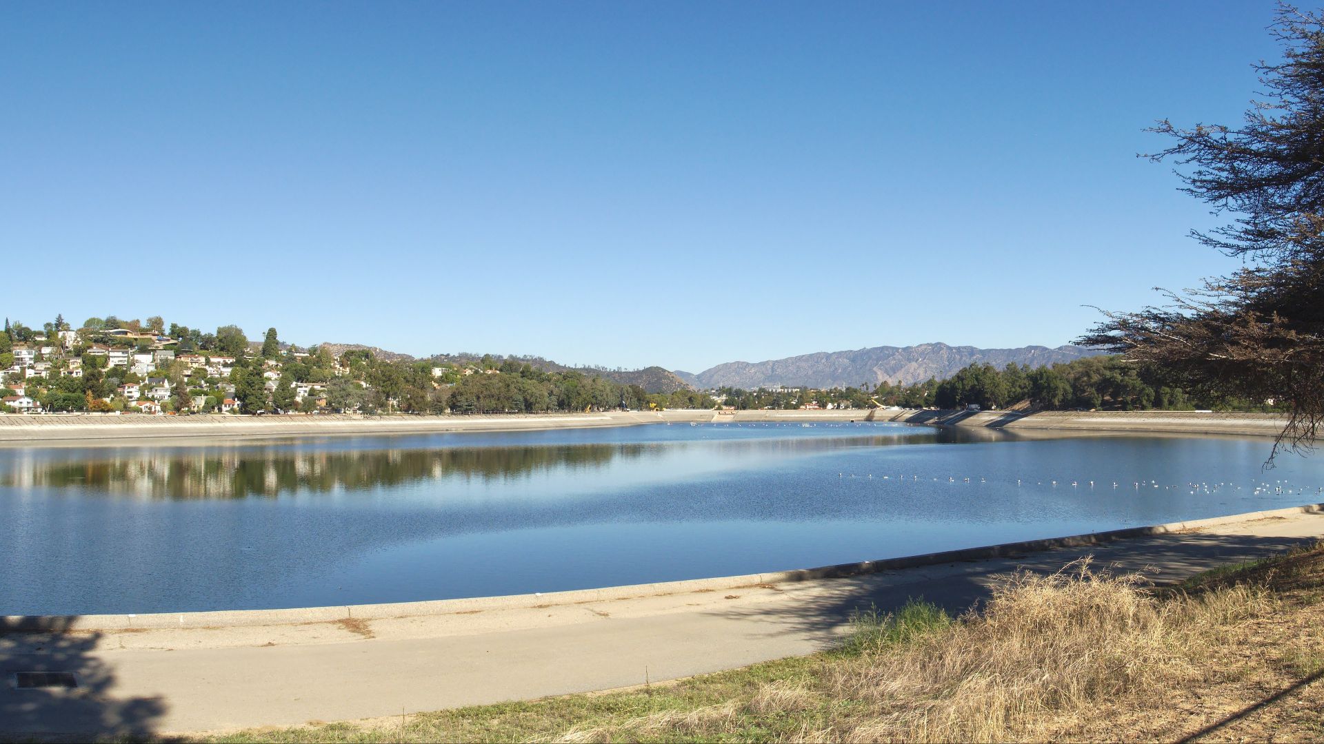 Why Is The Los Angeles Reservoir Covered With Over 95 Million Black Balls?
