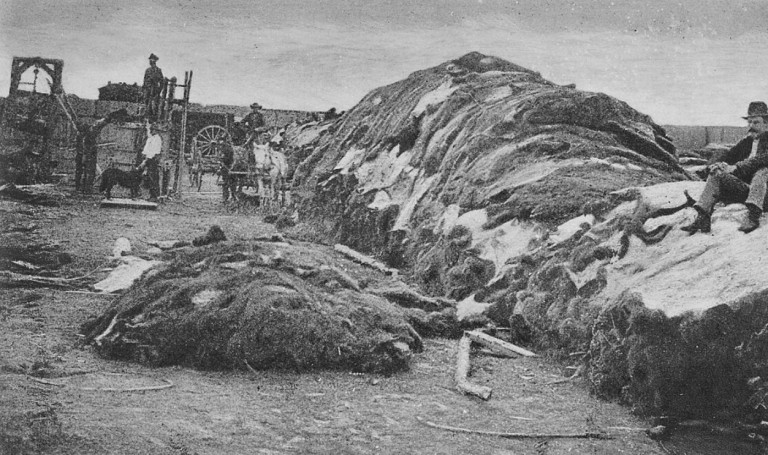 Real Photographs Showing What Life Really Looked Like In The Wild West