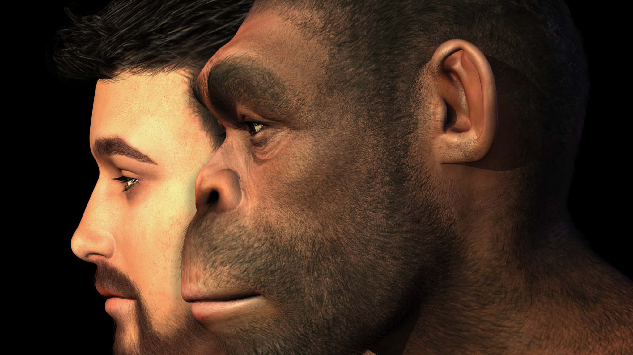Scientists found a million-year-old skull in China that's just changed ...