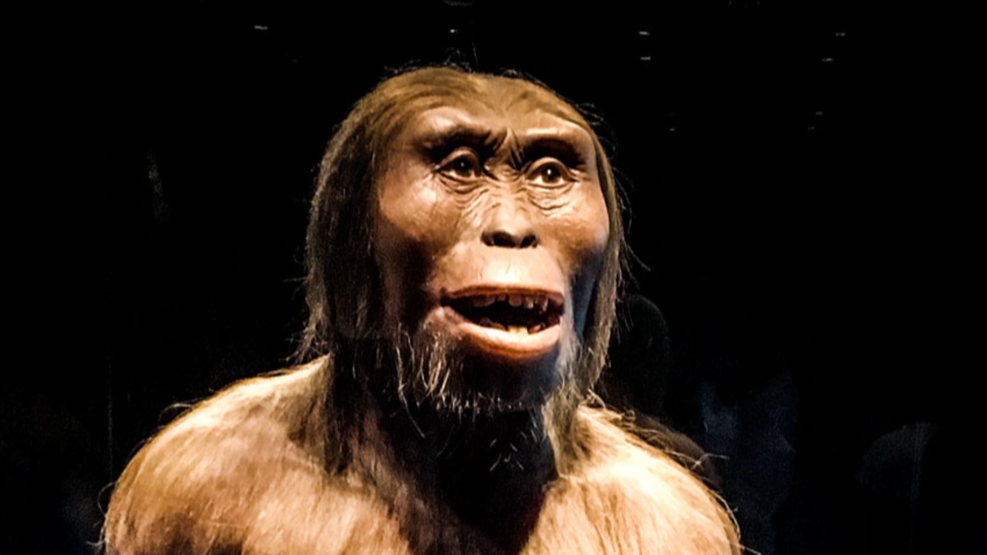 There’s a human body part that no other animal has—and evolution still ...