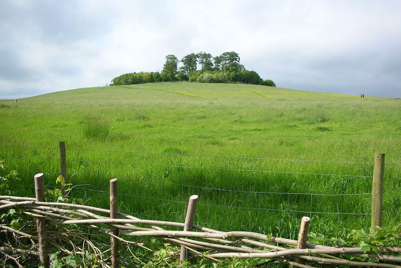 A British Man Discovered A Roman Villa Fit For A King In His Backyard