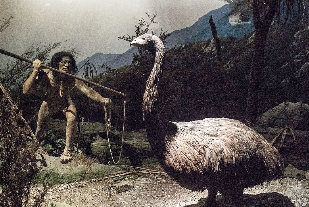 The Maori People: New Zealand's Fierce Indigenous Tribe