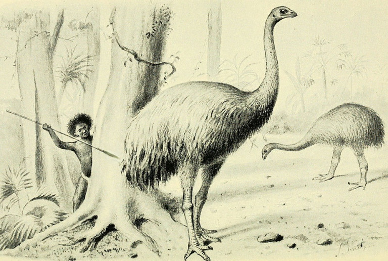 The Maori People: New Zealand's Fierce Indigenous Tribe