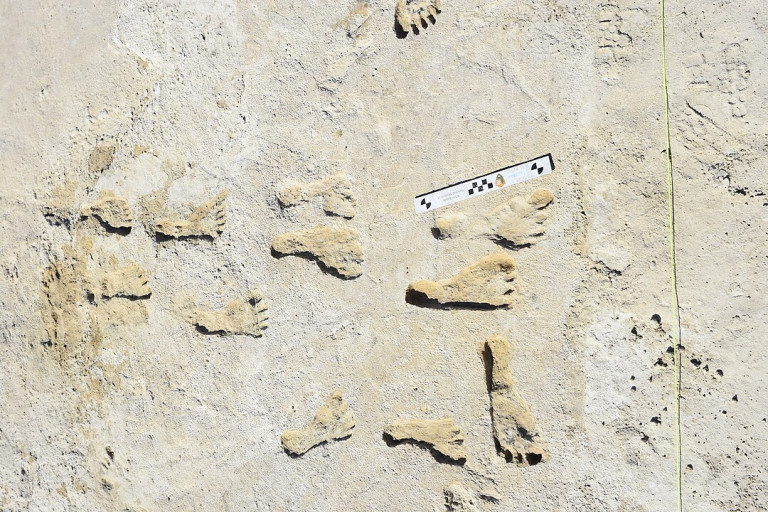 The White Sands Footprints Redefined What We Know About The First ...