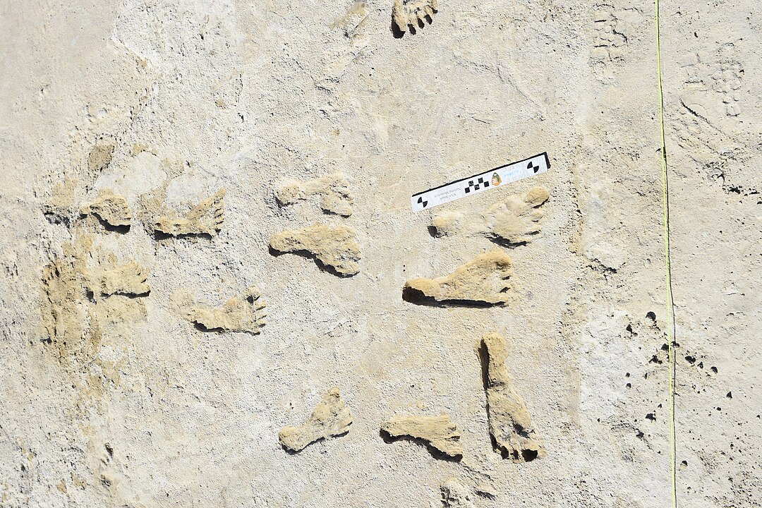 The White Sands Footprints Redefined What We Know About The First ...