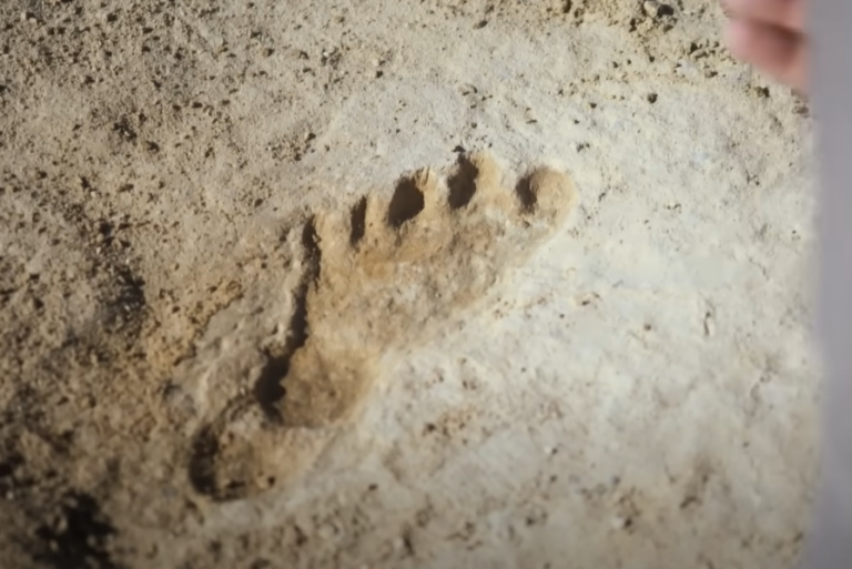 The White Sands Footprints Redefined What We Know About The First ...