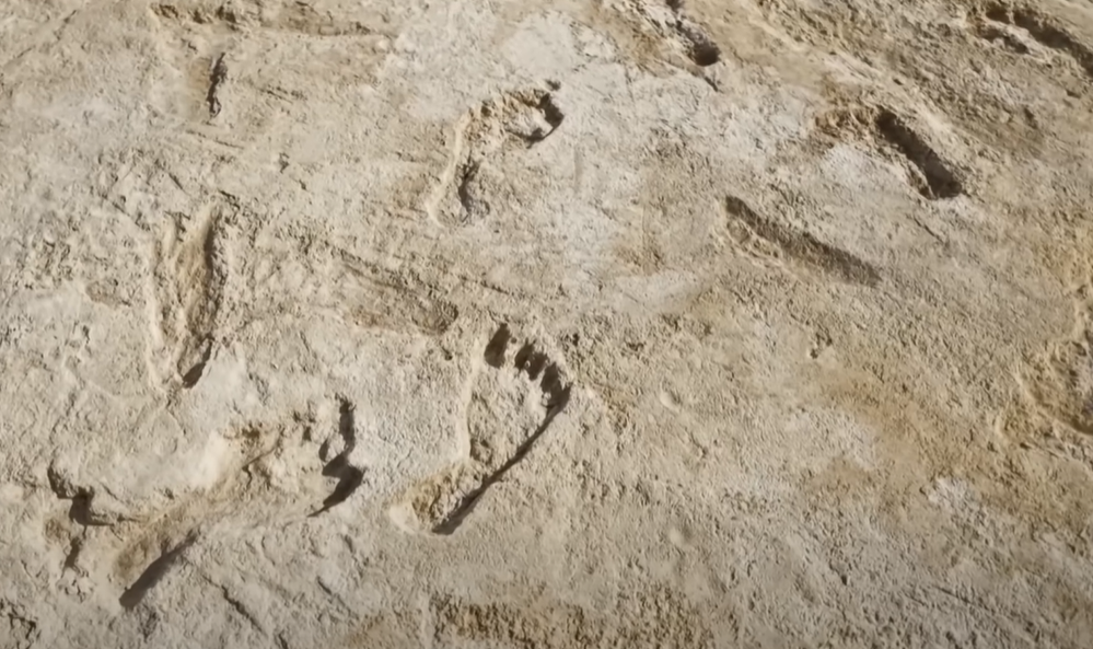 The White Sands Footprints Redefined What We Know About The First ...