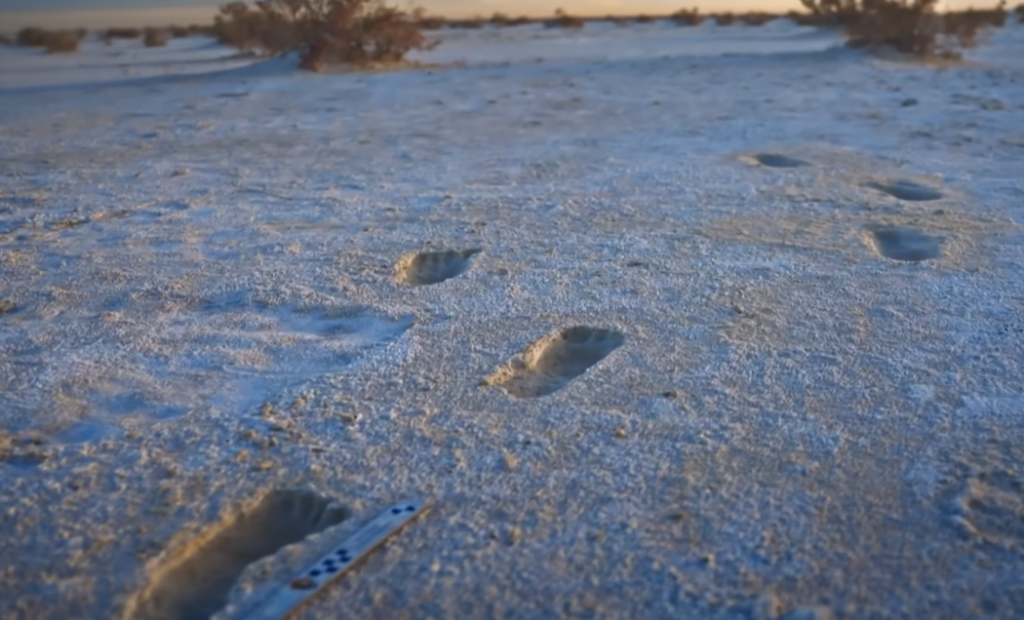 The White Sands Footprints Redefined What We Know About The First ...