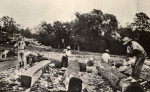 The Lacandon People: An Ancient Mayan Tribe In A Fight For Survival