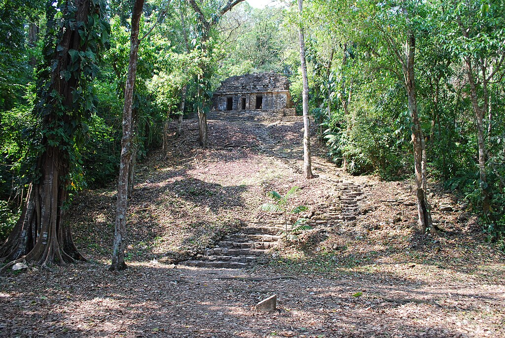 The Lacandon People: An Ancient Mayan Tribe In A Fight For Survival