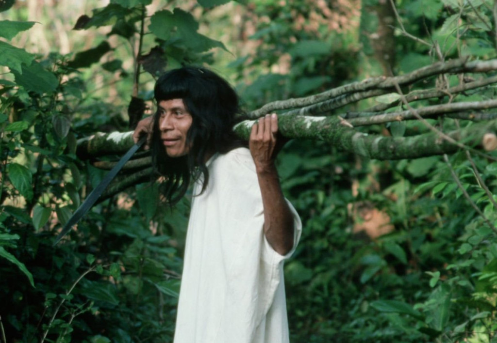 The Lacandon People: An Ancient Mayan Tribe In A Fight For Survival