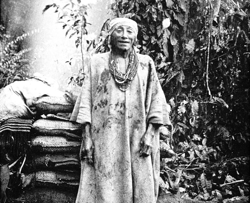 The Lacandon People: An Ancient Mayan Tribe In A Fight For Survival