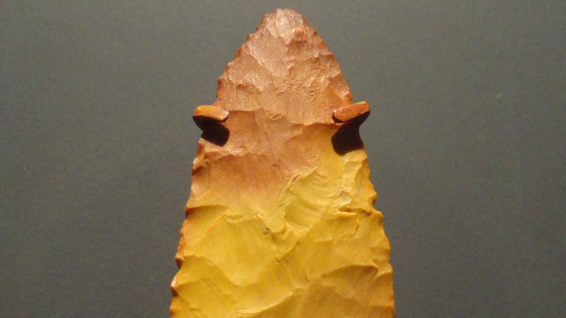 Understanding The Multifaceted Clovis Culture Of North America