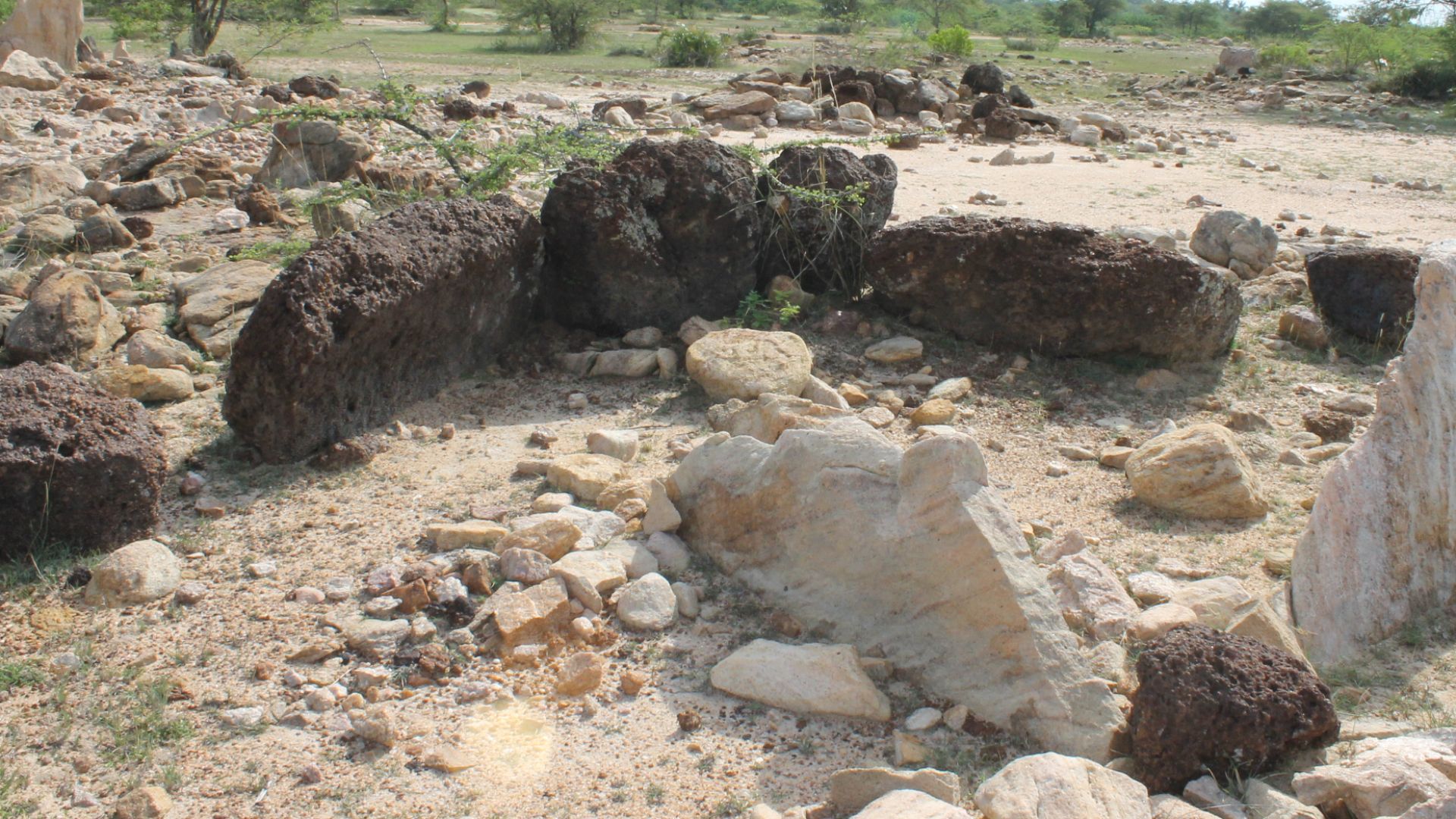 Understanding The Multifaceted Clovis Culture Of North America