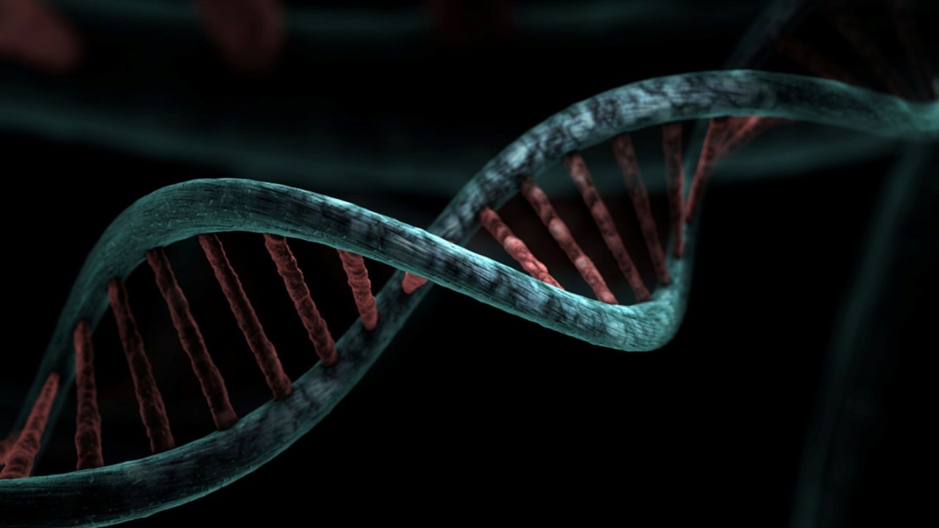 Understanding The Multifaceted Clovis Culture Of North America