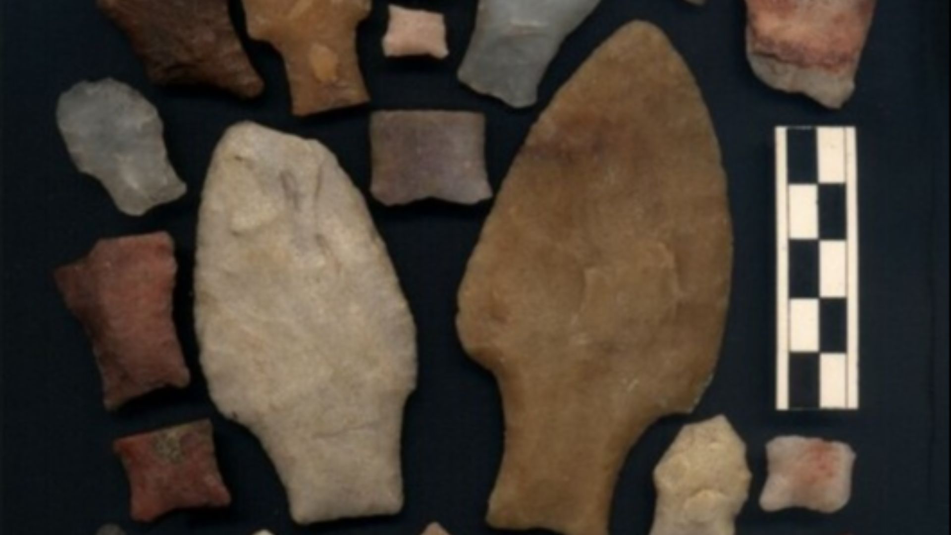 Understanding The Multifaceted Clovis Culture Of North America