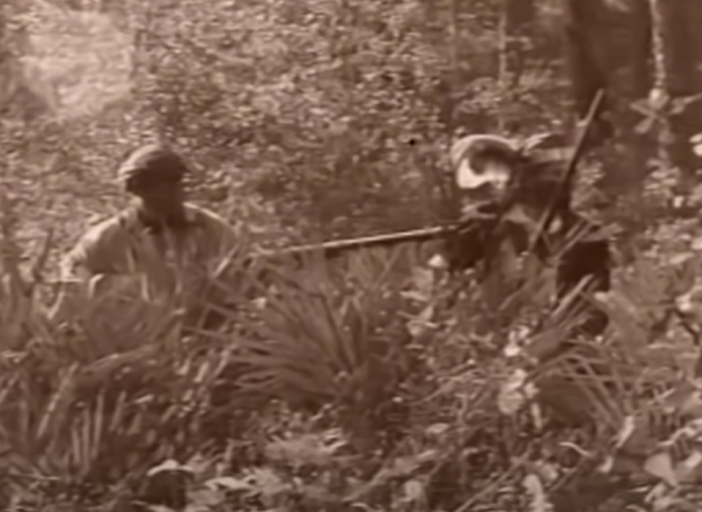 The Tale Of The Seminole: Florida's Unconquered Tribe