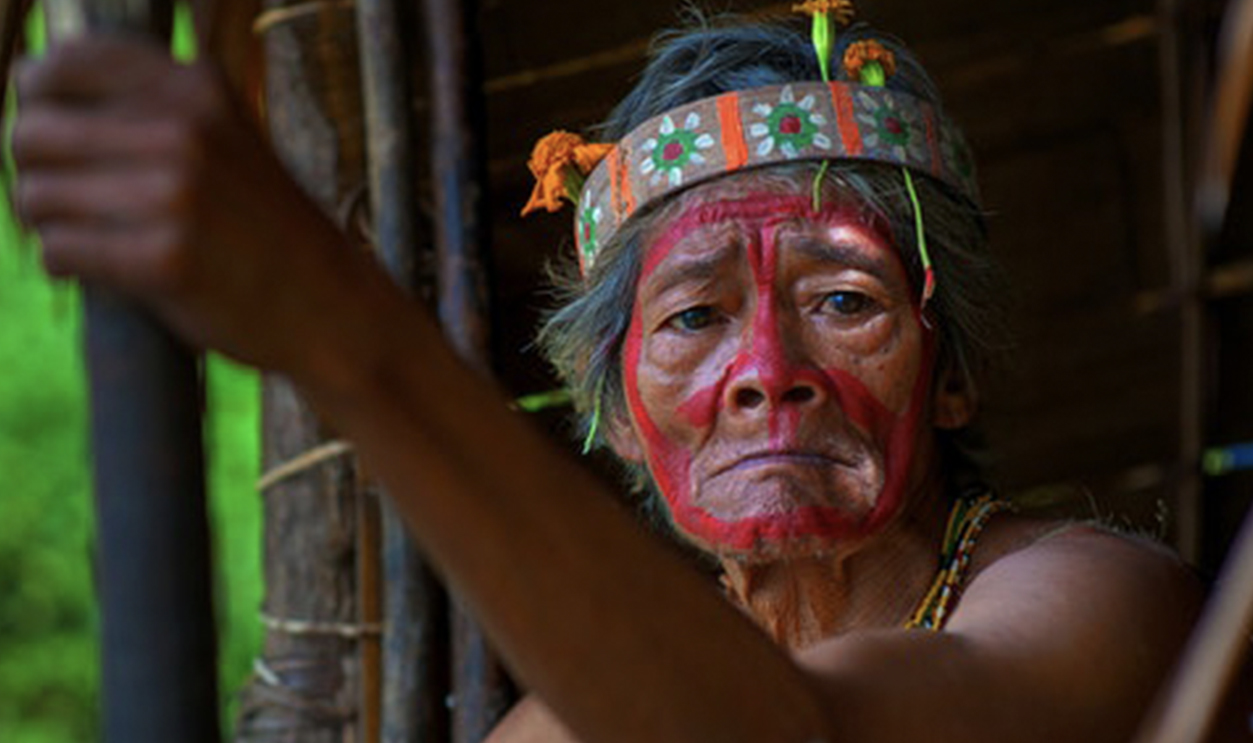 Scientists just discovered an Amazon rainforest tribe whose brains and ...