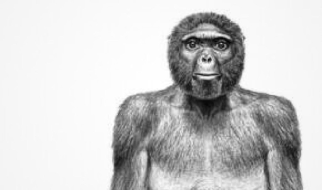 The Complete Story Of Lucy: The Fossil That Changed Human History