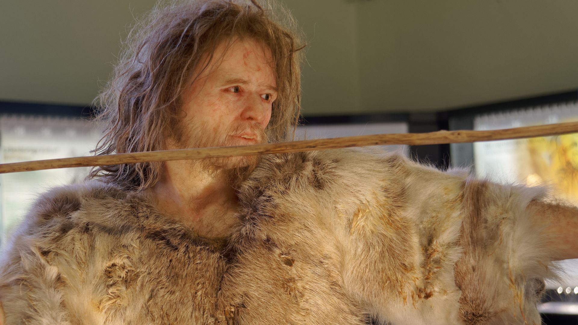The Complete Story Of Lucy: The Fossil That Changed Human History
