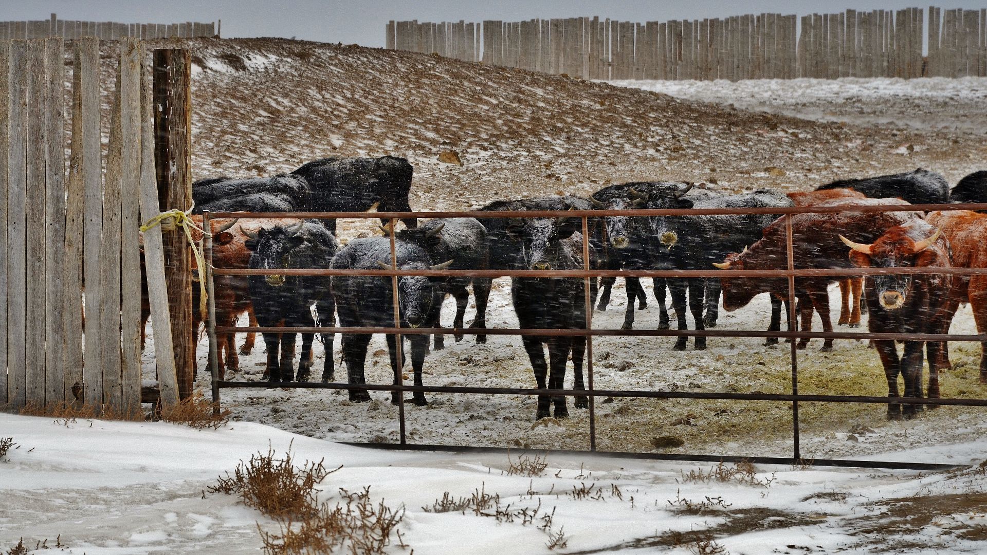 18 Fascinating Geographical Oddities Of The United States