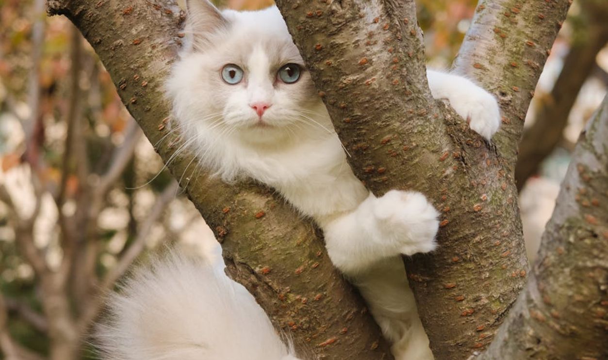 The 4 Most Ridiculous Laws In Every American State