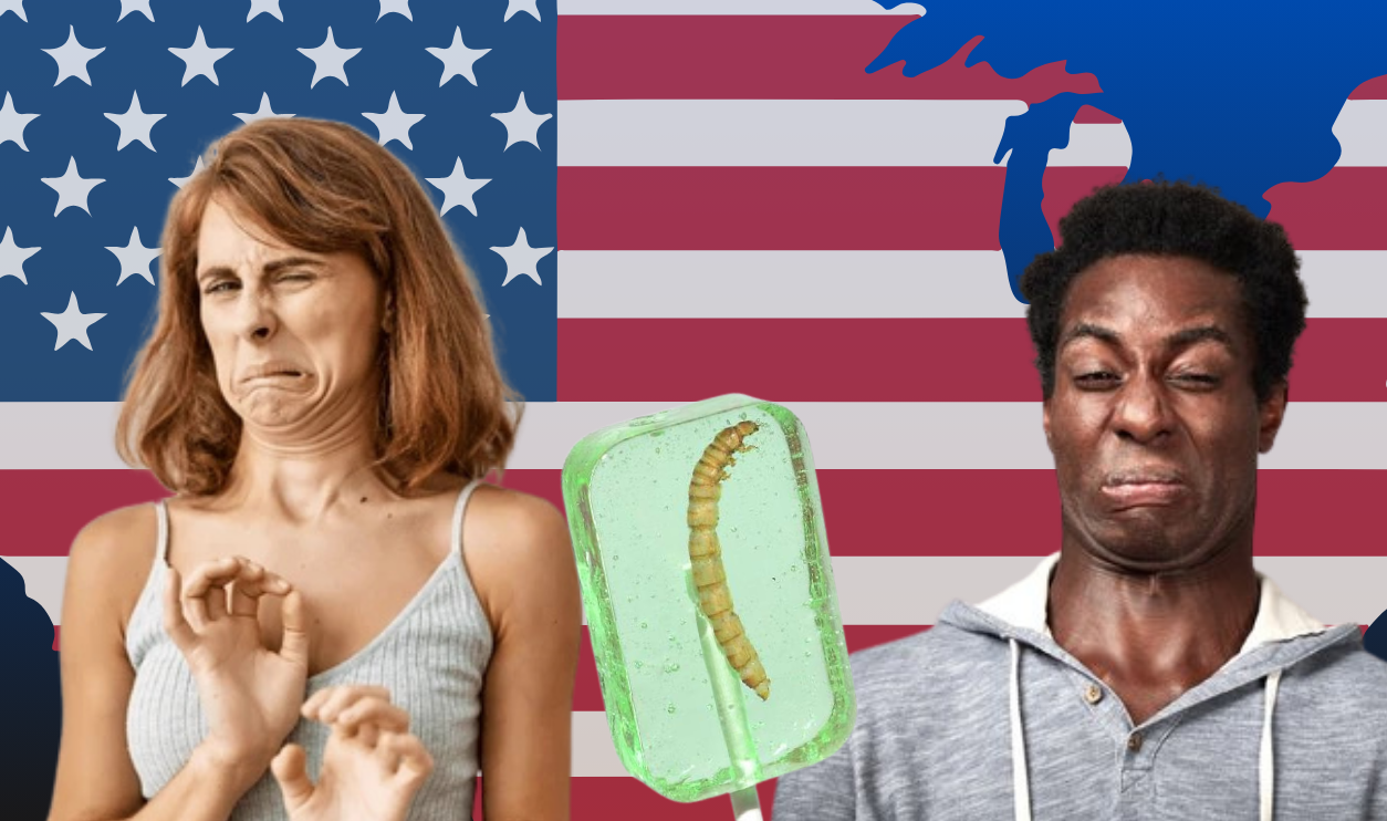 The Most Bizarre Foods You Can Eat In Every State