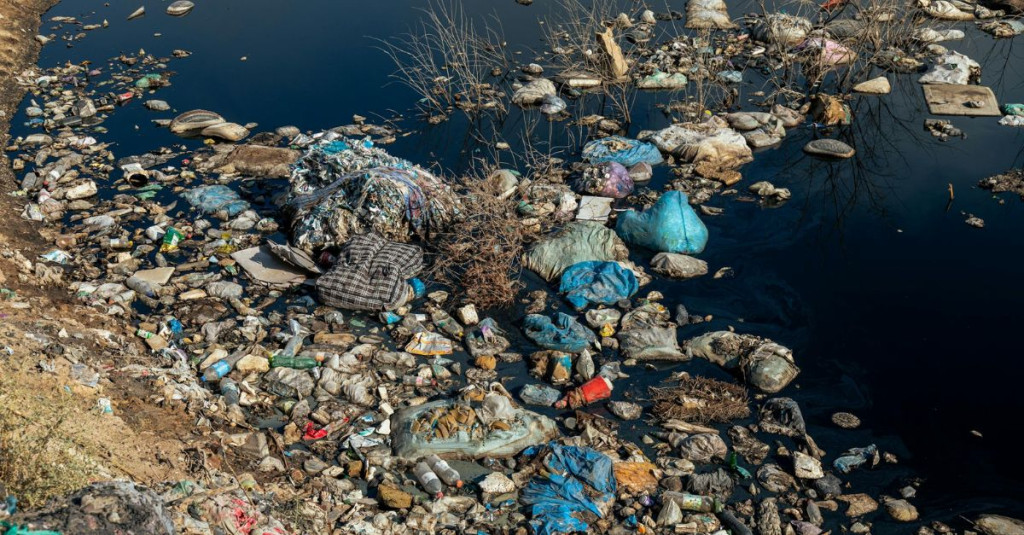 Home - SplashTravels