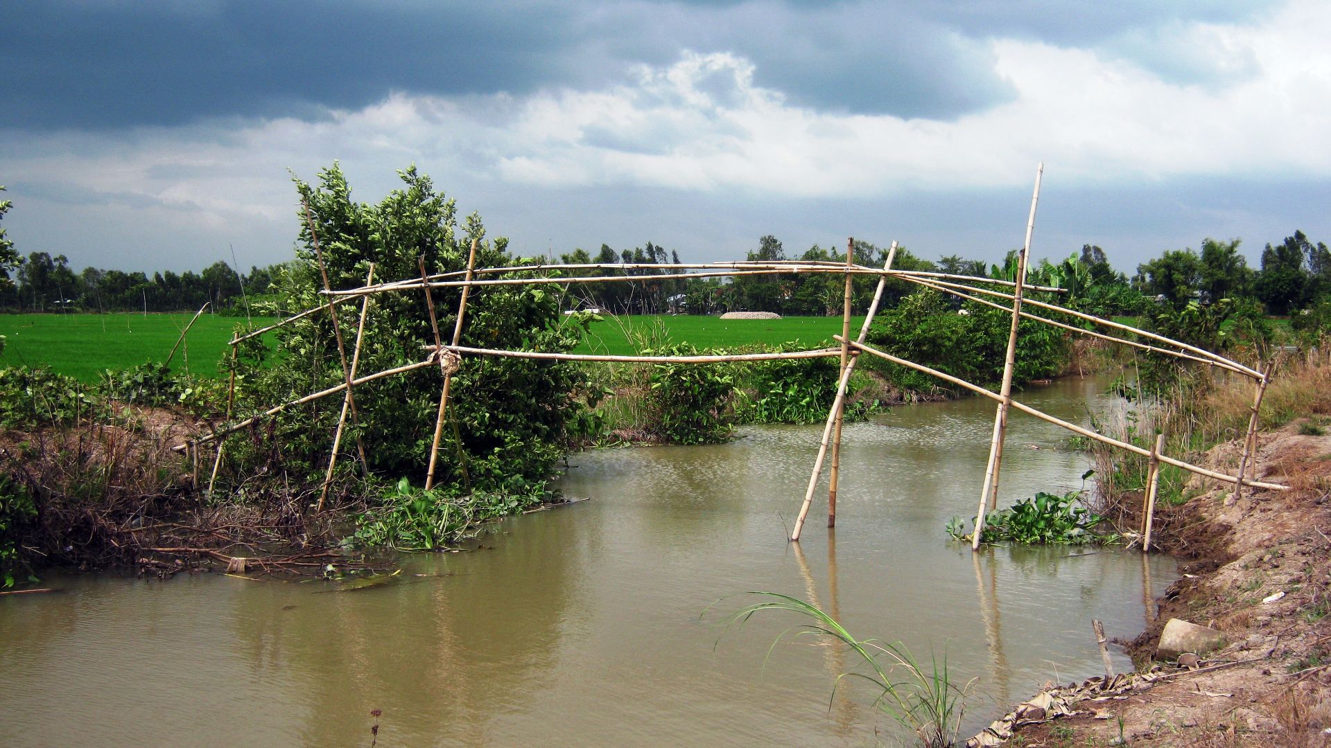 The World's Scariest Bridges—Would You Drive On Them?