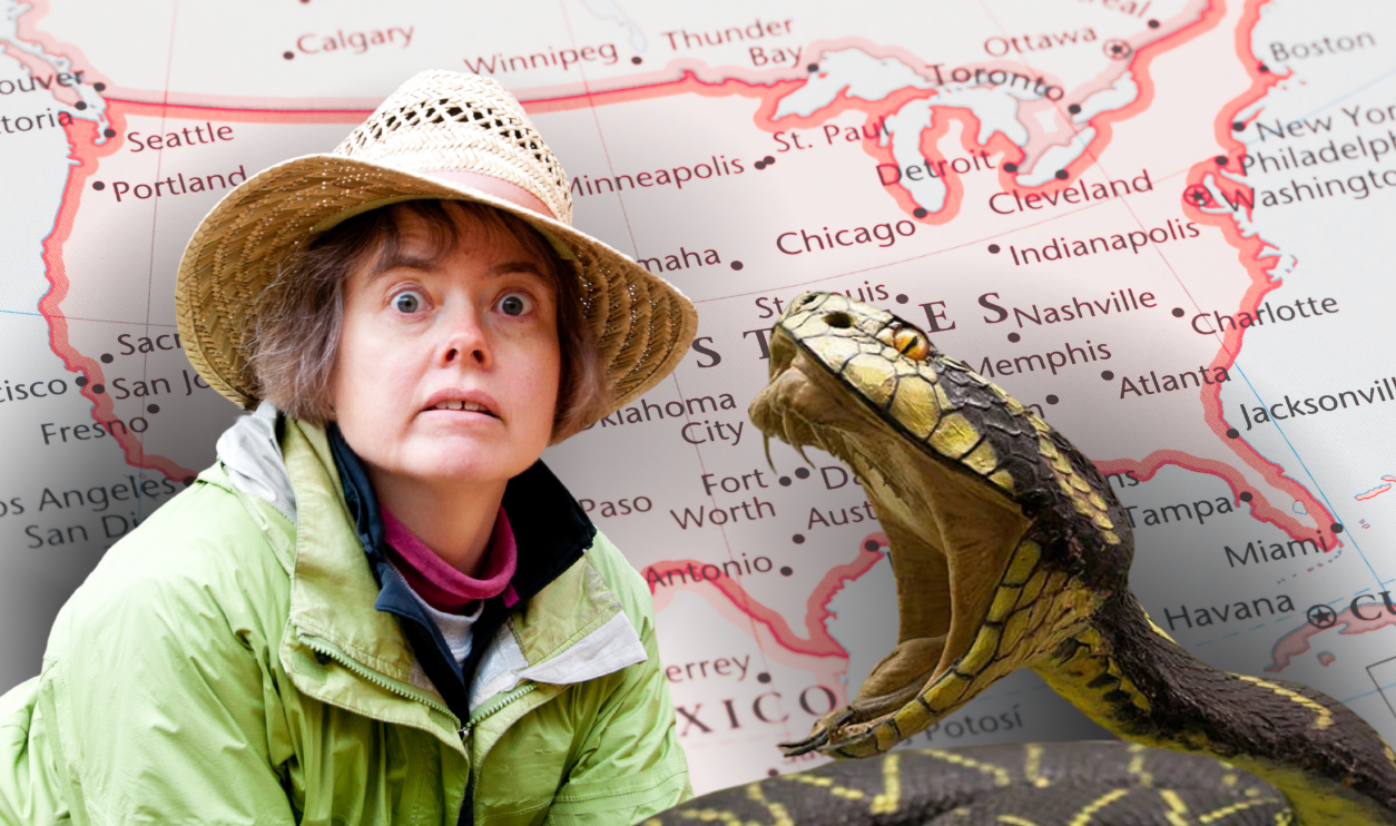 The Most Dangerous Animals in America