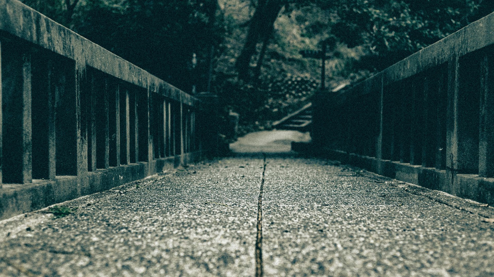 The World's Scariest Bridges—Would You Drive On Them?