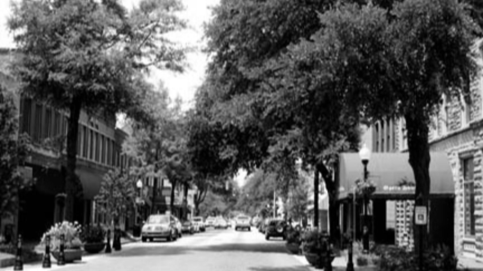 The South Carolina Turks: A Community Presumed To Be Lying For Generations